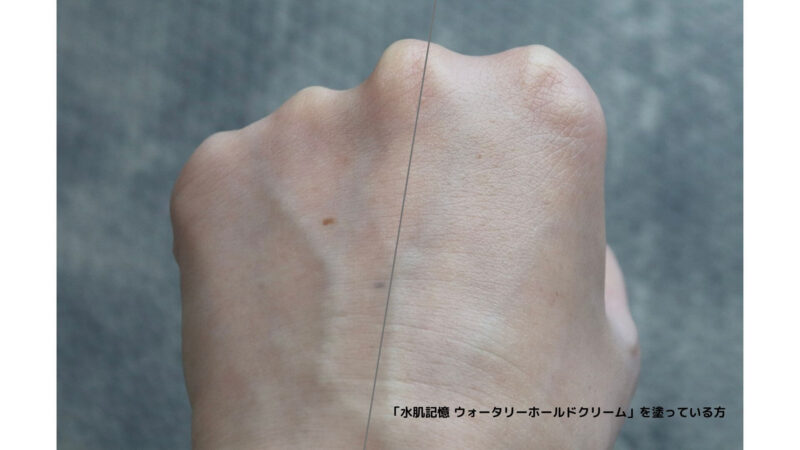 ビオレUV アクアリッチ 水肌記憶 ウォータリーホールドクリーム 使用レビュー！バズったノンケミカル日焼け止めの口コミ・効果・評判・感想・特徴など - sappiのブログ